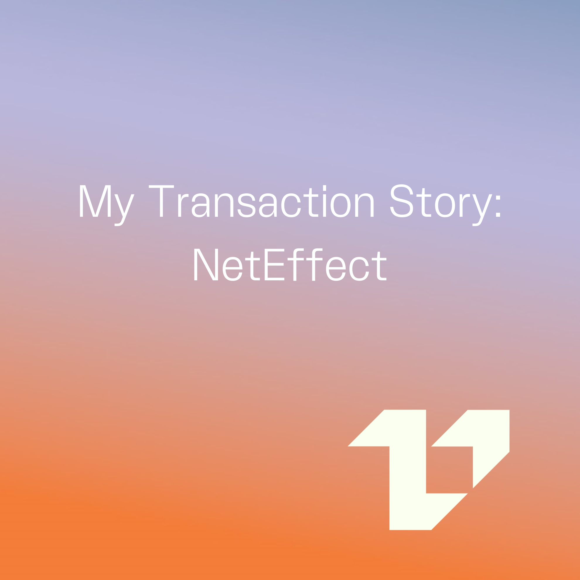 My Transaction Story: NetEffect - iTValuations